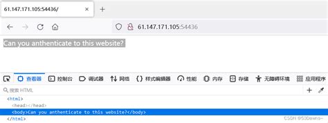 Xctf Web新手题 Php2 Nogfsj0234xctf体验题库 Php2 Csdn博客 Xctf Web新手题 Php2 Nogfsj0234xctf体验题库 Php2 Csdn博客
