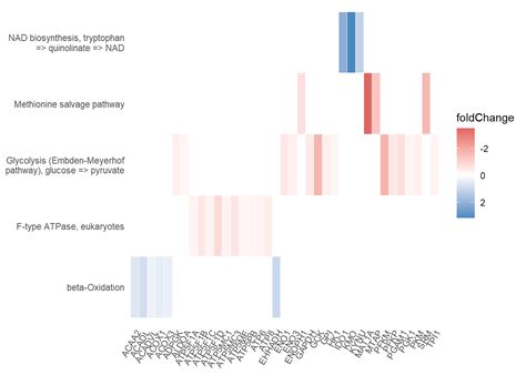 Learning Bulk RNAseq
