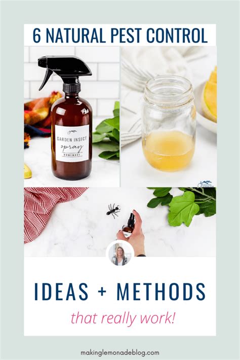 6 Natural Pest Control Methods That Really Work Artofit