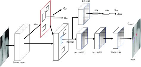 The Framework Of Chexlocnet The Features Were Extracted From The Download Scientific Diagram