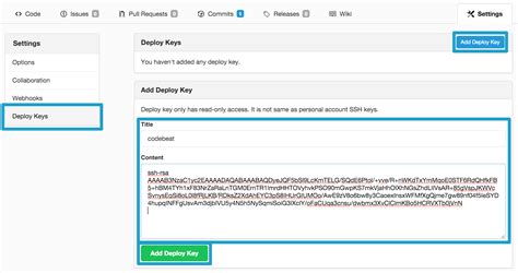 Using Codebeat With A Self Hosted Repo