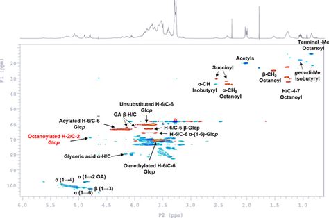 Hsqc Nmr H C 2d Correlation Spectrum Of G 50 Purified Native Mglp