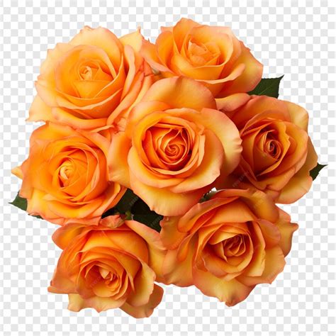 투명한 배경에 분리 된 오렌지색 상단 뷰 프리미엄 Ai 생성 Psd