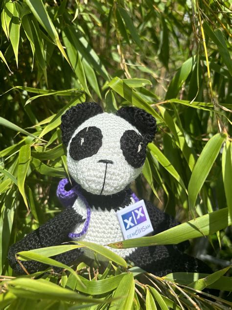 Gregor Hermann On Linkedin For All Experienced Pandas Experts And Panda Lovers A Great