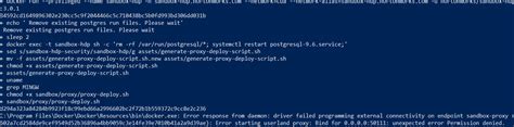 Permission Denied On Port When Starting Hdp Sandbox Proxy On Docker