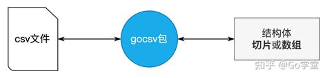 Go工具箱GoCSV包一个能将结构体和csv内容互转的工具 知乎