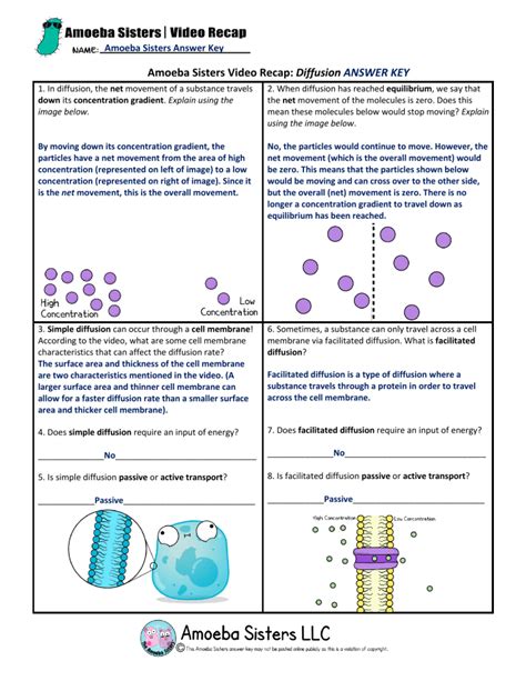 Diffusion Worksheet Amoeba Sisters Video Recap