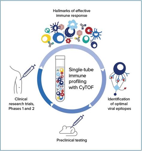 Standard Biotools On Linkedin Mass Cytometry