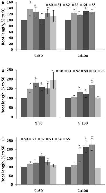 Root Length In The Progeny Of Stressed Plants Root Length Was Measured Download Scientific