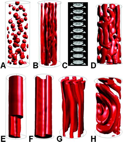Tomographically Reconstructed Concentration Fields For 3d Turing