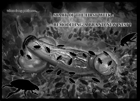 Rule 34 1futa Balls Black And White Bug Bugs Cock Cockroach Dnest English Text Erect Penis