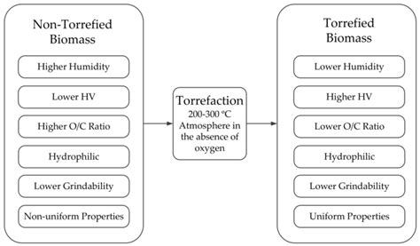 Schematic Representation Of Biomass Characteristics Compared With Download Scientific Diagram