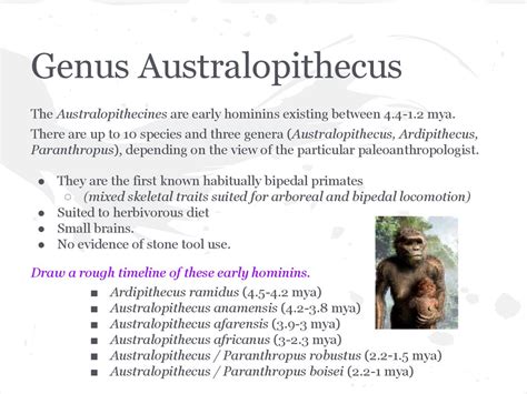Evolution Anthropogensis Online Presentation