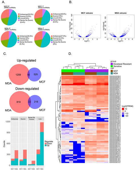 Overview Of The Lncrna Expression And Significantly Differentially Download Scientific Diagram
