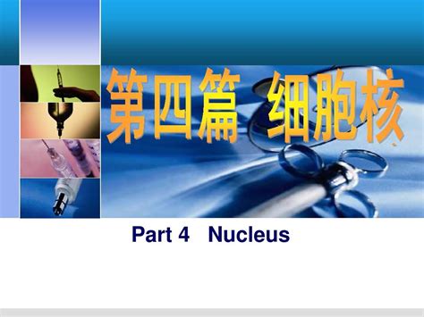 第八次课 细胞核 Word文档在线阅读与下载 无忧文档