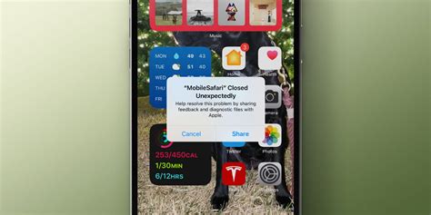 Bug Currently Causes Safari On Iphone To Crash While Typing