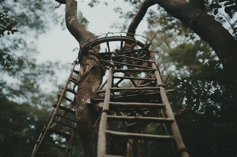 Tree House Ladder Composition Premium Ai Generated Image Tree House Ladder Composition Premium Ai Generated Image