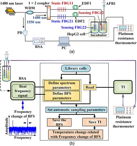 A Schematic Configuration Of The Proposed Multiplexed Fiber Cell Download Scientific Diagram