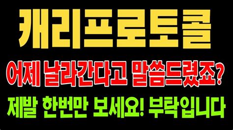 캐리프로토콜 코인전망 비트코인 이더리움 도지코인 Youtube