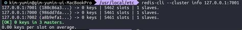 Github Kimyuuumredis Cluster Tutorial Start Redis Cluster