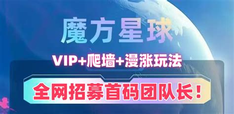 首码项目网 网上创业赚钱首码项目发布推广平台 315首码项目网