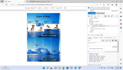 تطوير مواقع ويب احترافية باستخدام Html و Css خمسات