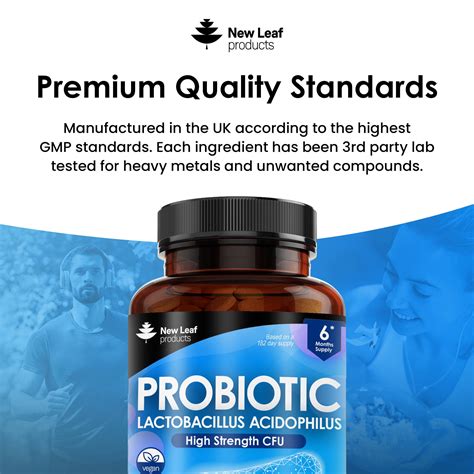 Lactobacillus Acidophilus Bacteria 710 Lactobacillus Bulgaricus Stock