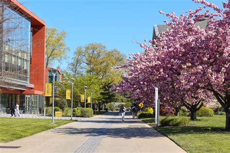 Important Notice Fire Life Safety Testing Advisory Adelphi University