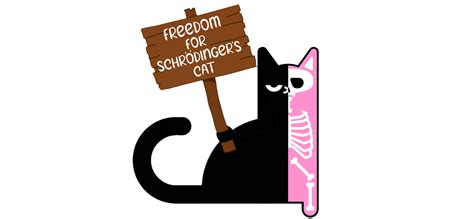 Freedom For Schrödingers Cat From The Non Paradox To The Cat… By Marta Reina Colibritd
