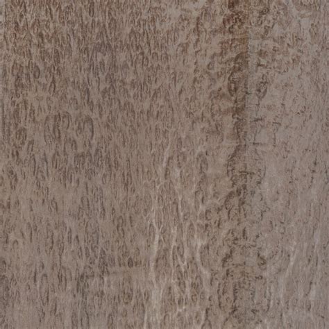 Pomelle Metallic Superply