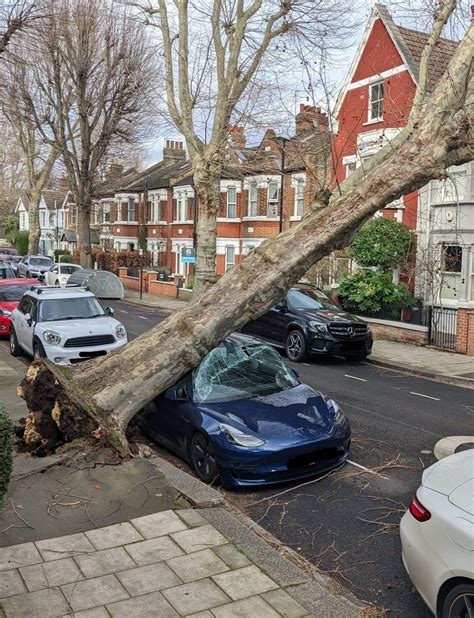 Fuck You Tesla R Fuckyouinparticular