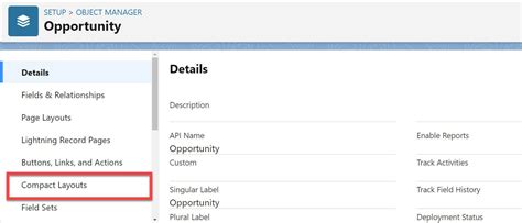 Compact Layout In Salesforce