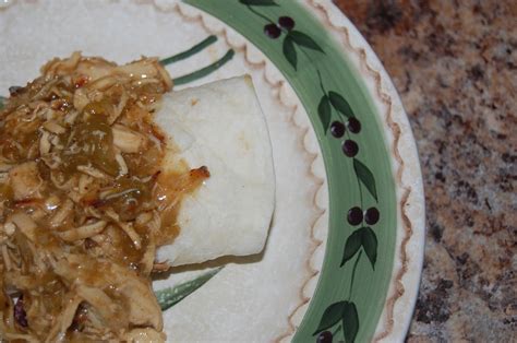 Green Chili Chicken Gravy 7 Steps With Pictures Instructables