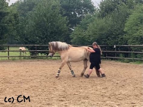 B0 B9 B8 Bb 5 A69 4 A85 B775 706 A6 Cc1388 C Hosted At Imgbb — Imgbb