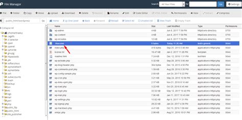 Wordpress Hyderabad Web Hosting