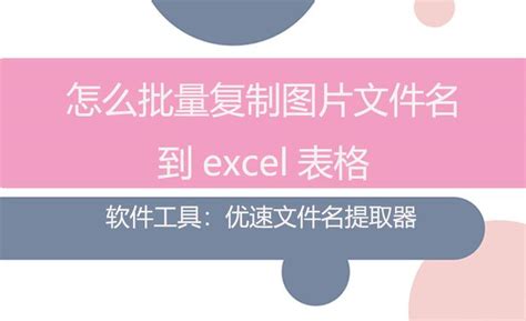 怎么批量复制图片文件名到excel表格 知乎