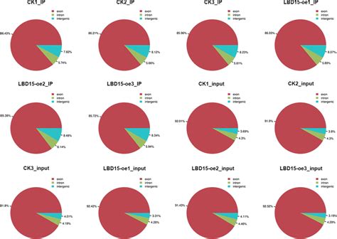 The Distribution Of Mapped Reads Of Each Sample In The Genome
