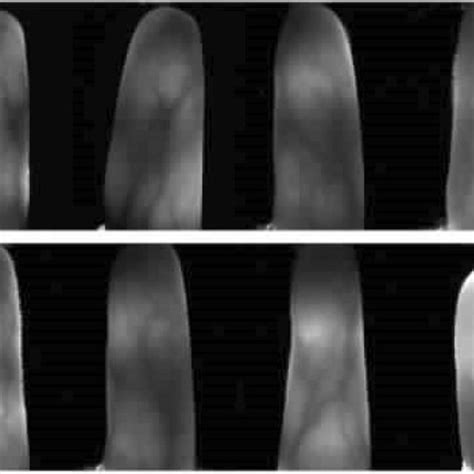 Components Of Iot Biometric System And Process Flow Diagram Download Scientific Diagram