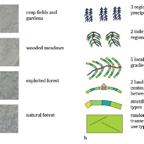 Land Use Type With Two Randomly Selected Transects Left And Example