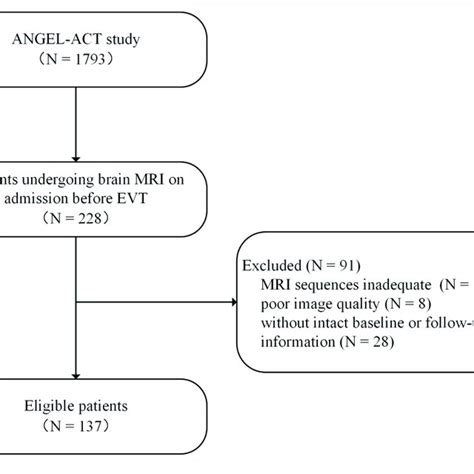 flowchart of patient selection download scientific diagram