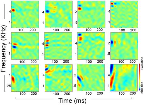 Neurophysiological Receptive Fields Each Panel Shows The Receptive