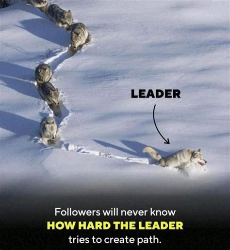 Dr Vijayakumar Hukkeri Posted On Linkedin