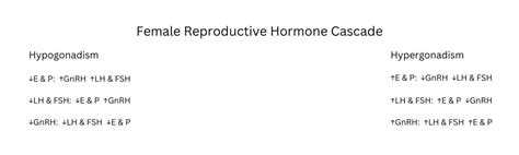 Hormones Part 1 Reproductive Hormones