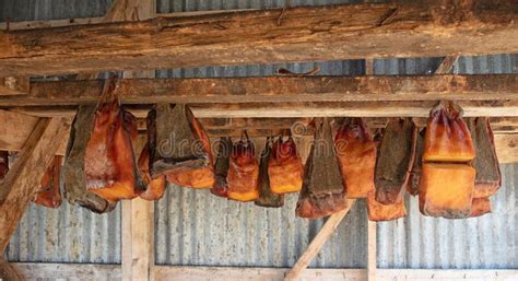 Specialty Of Iceland Called Hakarl Fermented Shark Stock Image Image