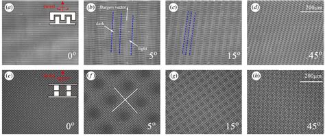 Figure 3 From Meso Scale Dislocations And Friction Of Shape Complementary Soft Interfaces