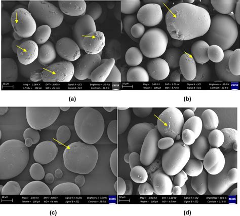 Micrographs Of Unmodified And Heat Moisture Treated Bambara Groundnut