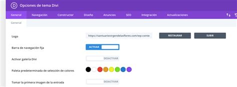 Favicon En Divi Soporte Divi En Español Wpfácil ̵