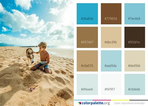 Beach Vacation Sand Color Palette