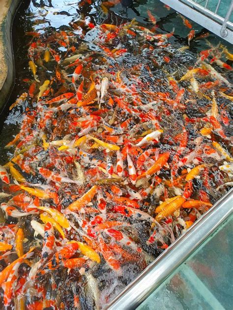 วัดดอนใหญ่ ปทุมธานี พิกัดวัดสวยใกล้กรุงเทพฯ ที่ไม่ค่อยมีคนรู้จัก