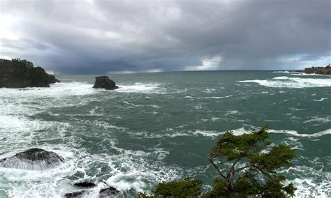 What Drives Puget Sounds Underwater Amazon Encyclopedia Of Puget Sound